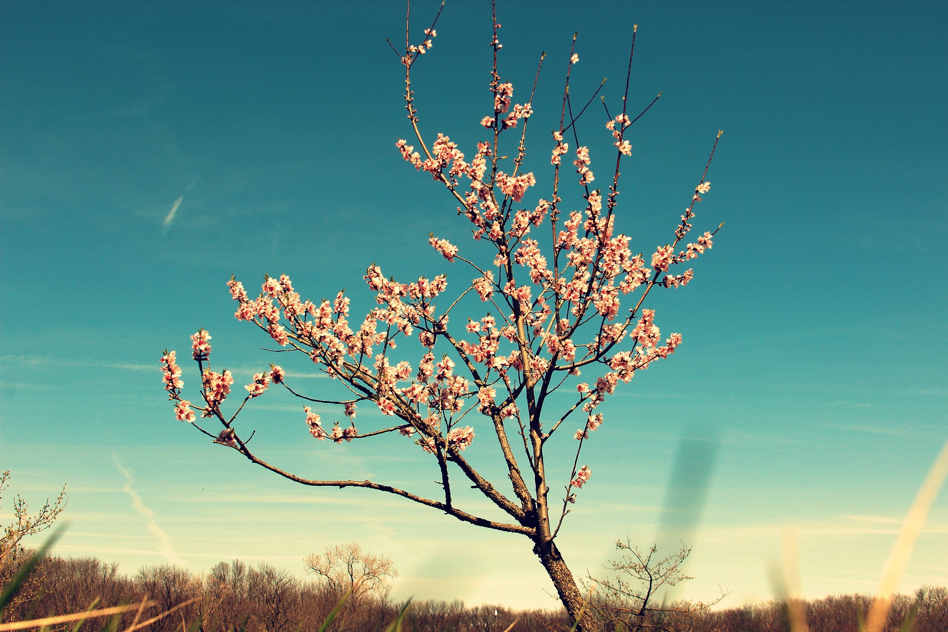 God of now – Mighty Anchor